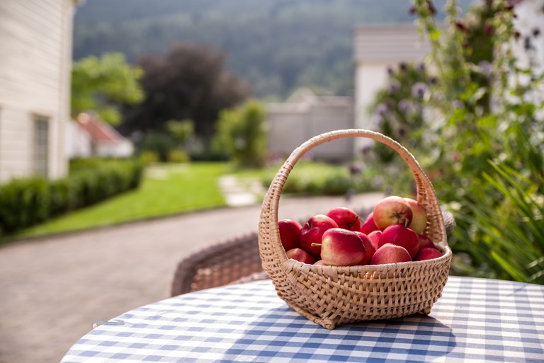 Things to do at Walaker Hotell - Historic Hotels in Norway